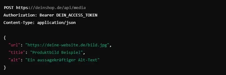 Shopware API: Grundlagen, Nutzungstipps und Praxisbeispiele